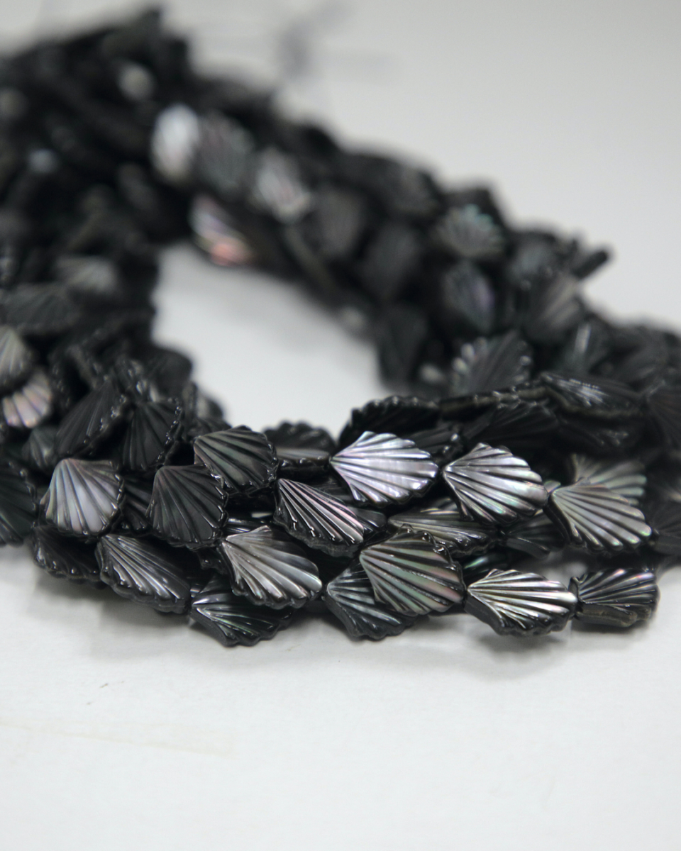 Seashell Strand - Tai Chung Jewellery